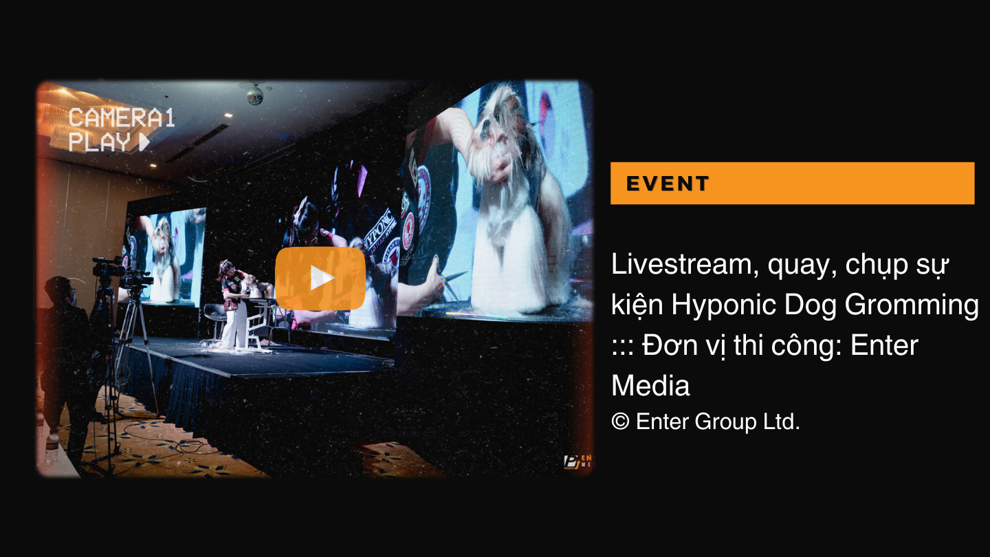 Livestream trực tiếp màn hình led sự kiện Dog Grooming Hyponic 2023